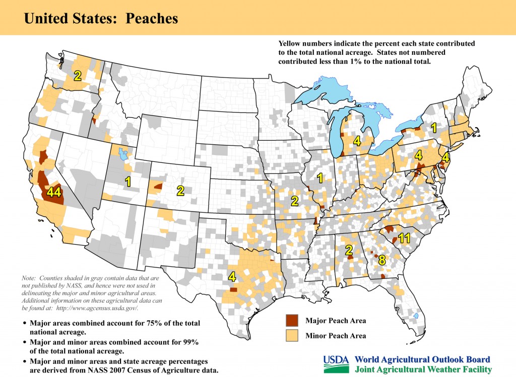 United States Peach Production